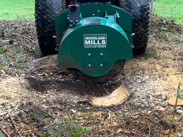 Stump Grinding | Suffolk | Country Care
